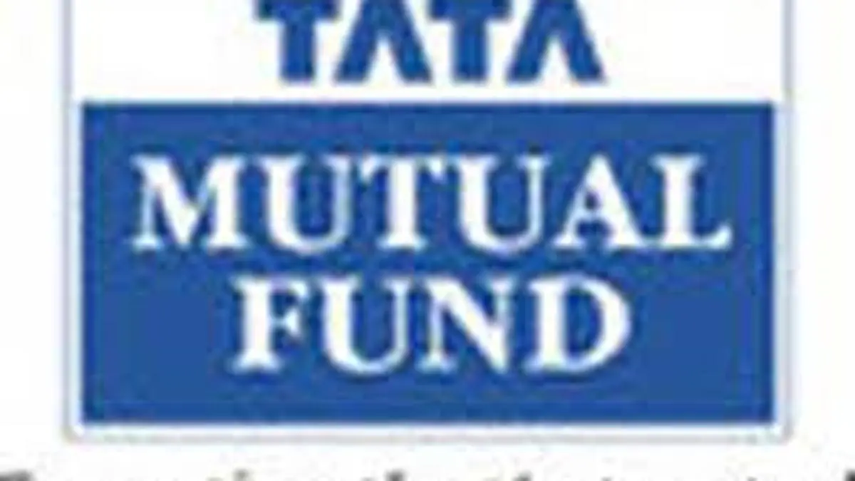 Tata MF to stop accepting lump-sum investment in small-cap fund - The HinduBusinessLine